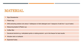 DNA Extraction.pptx