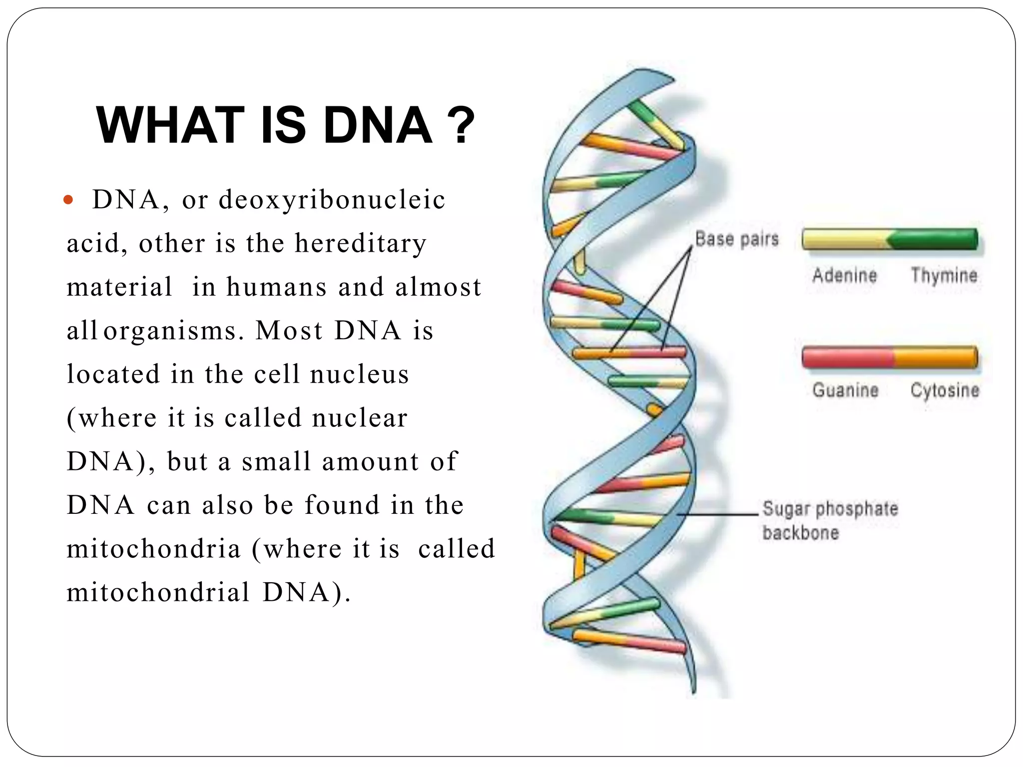 DNA EXTRACTION.pptx