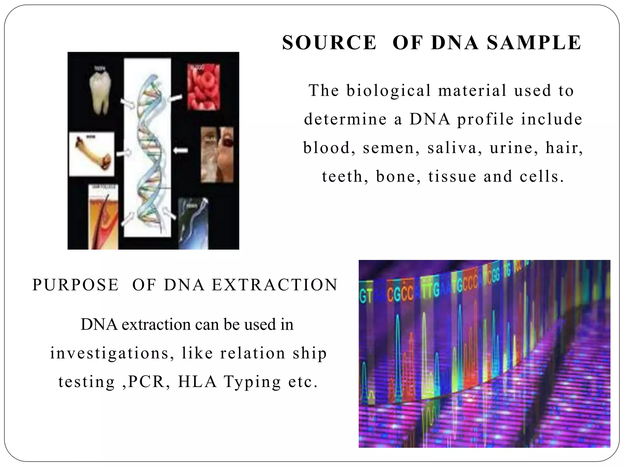 DNA EXTRACTION.pptx