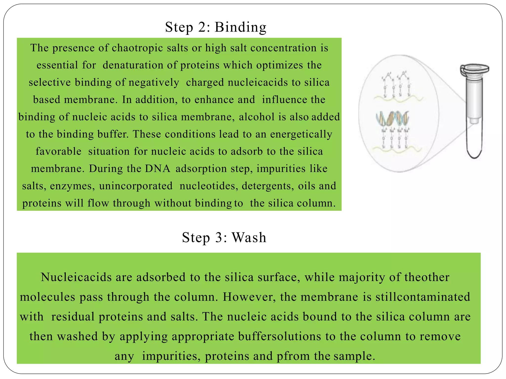 DNA EXTRACTION.pptx