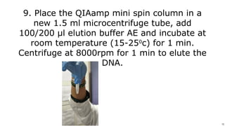 Genomic DNA extraction by spin column method | PPTX