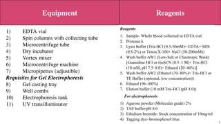 Genomic DNA extraction by spin column method | PPTX