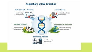 Comprehensive Guide to DNA Extraction and Its Principles | PPTX