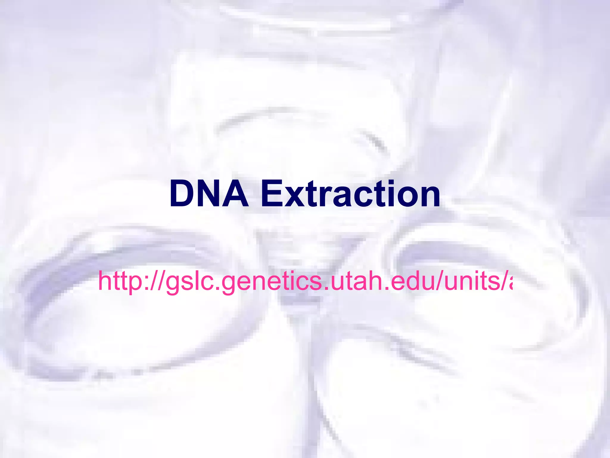 Dna extraction 2 | PPT