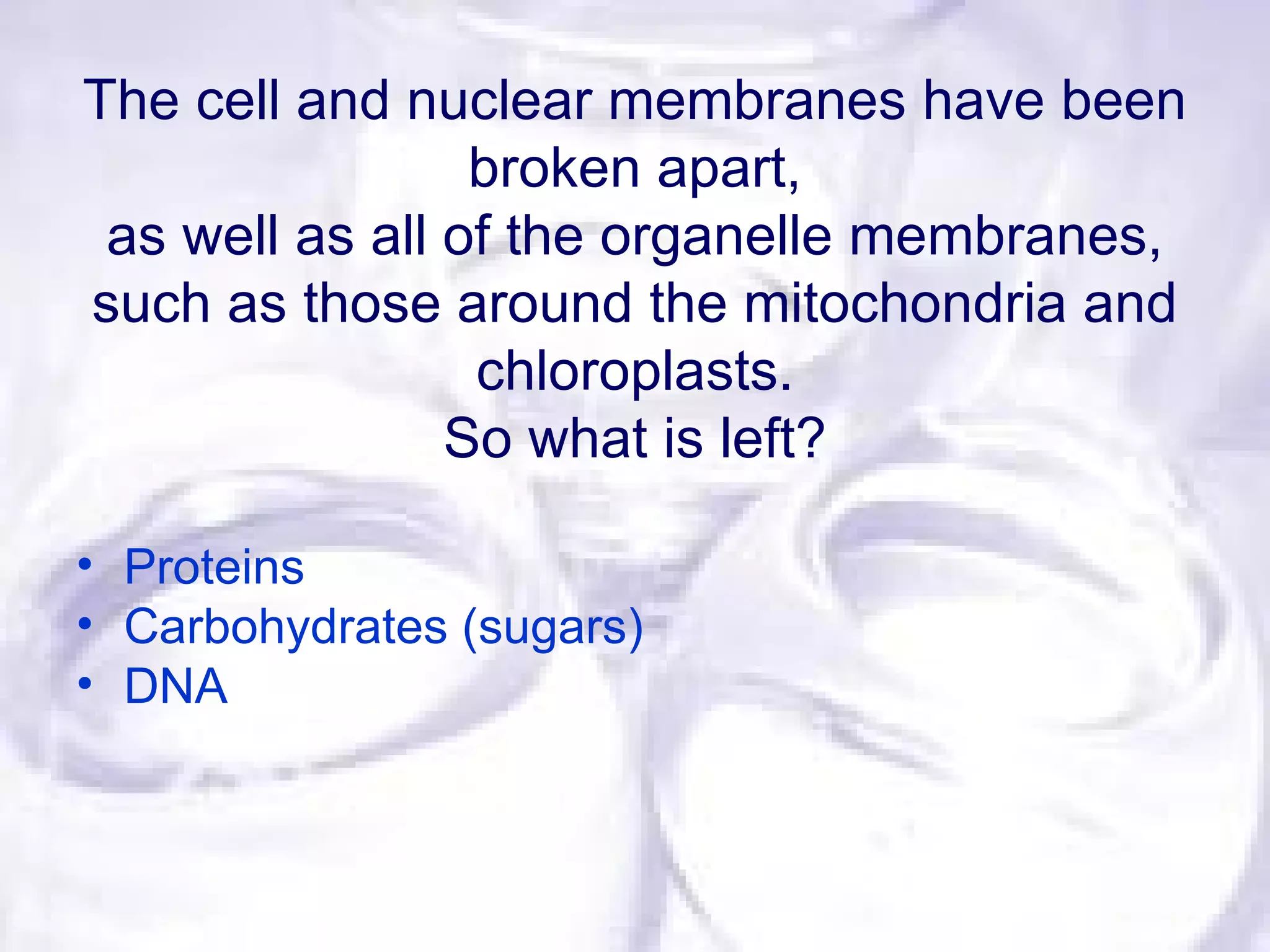 Dna extraction 2 | PPT