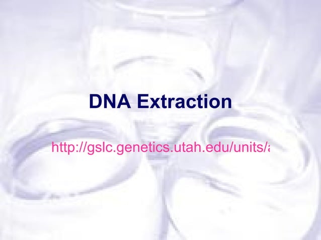 Dna extraction 2 | PPT