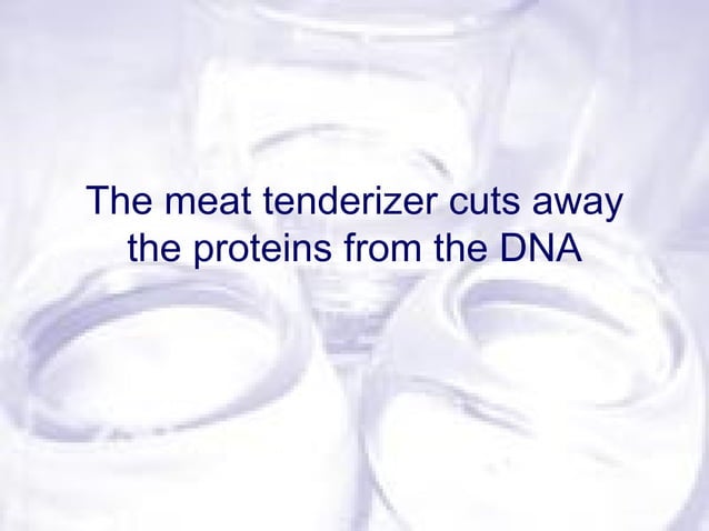 Dna extraction 2 | PPT