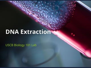 DNA Extraction Activity Slide for Extracting from Fruit | PPTX