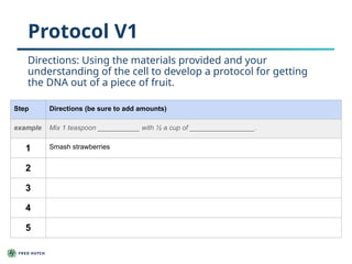 DNA Extraction Activity Slide for Extracting from Fruit | PPTX