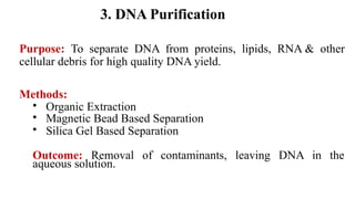 DNA Extraction and its Purification.pptx