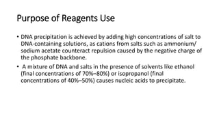 Dna extraction from human blood | PPTX