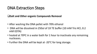 Dna extraction from human blood | PPTX