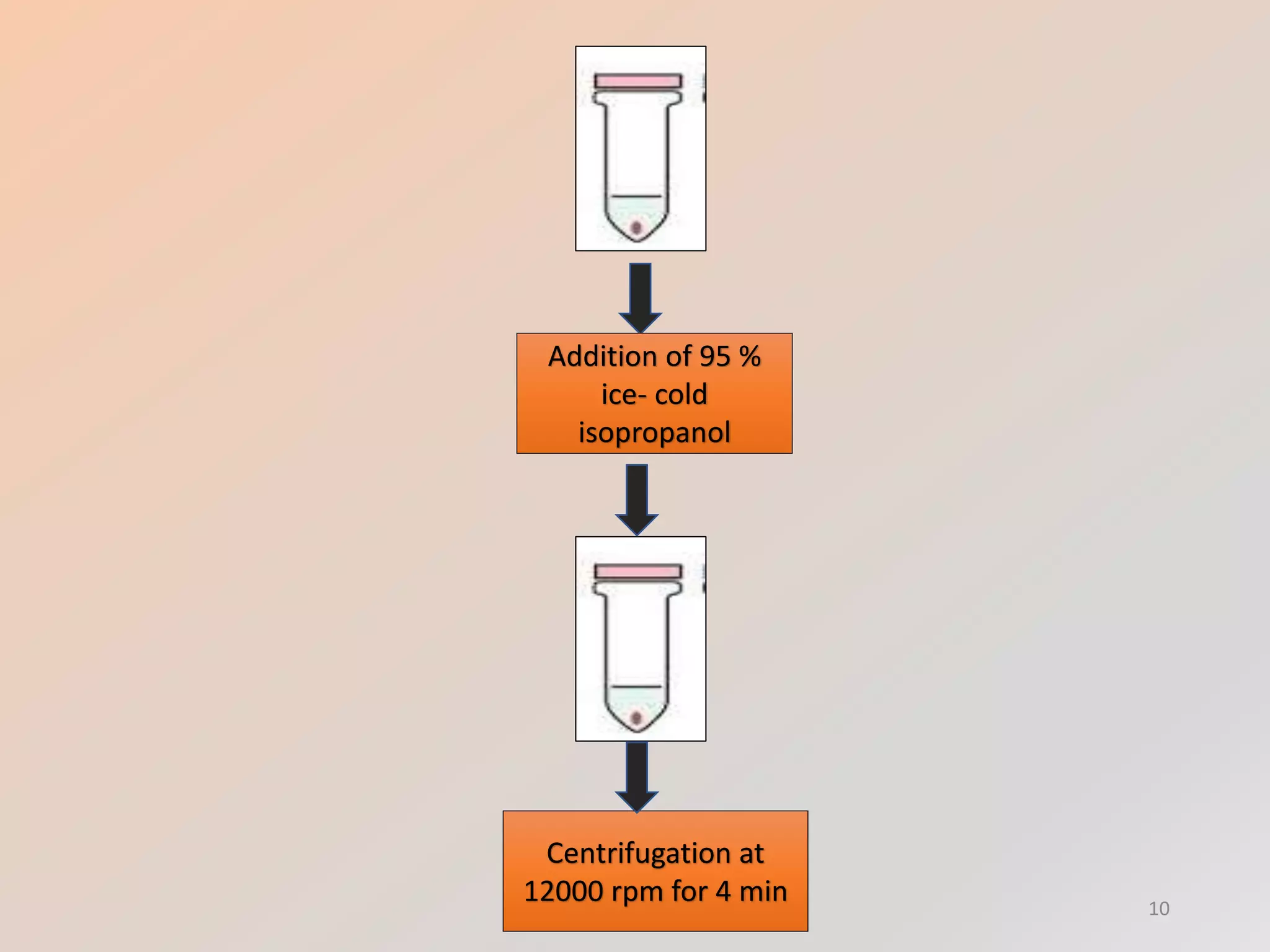 Dna extraction from whole blood | PPTX