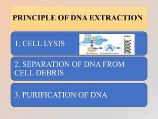 Dna extraction from whole blood | PPTX