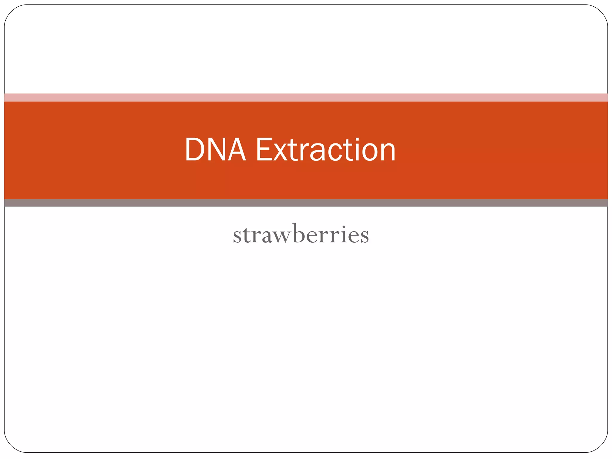Dna extraction lab | PPT
