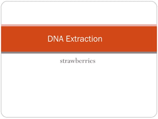 Dna extraction lab | PPT