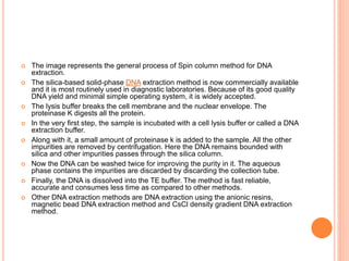 Dna extraction method | PPTX