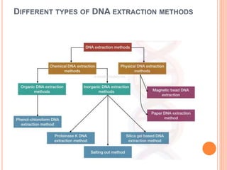 Different Types Of DNA Extraction Methods, 50% OFF