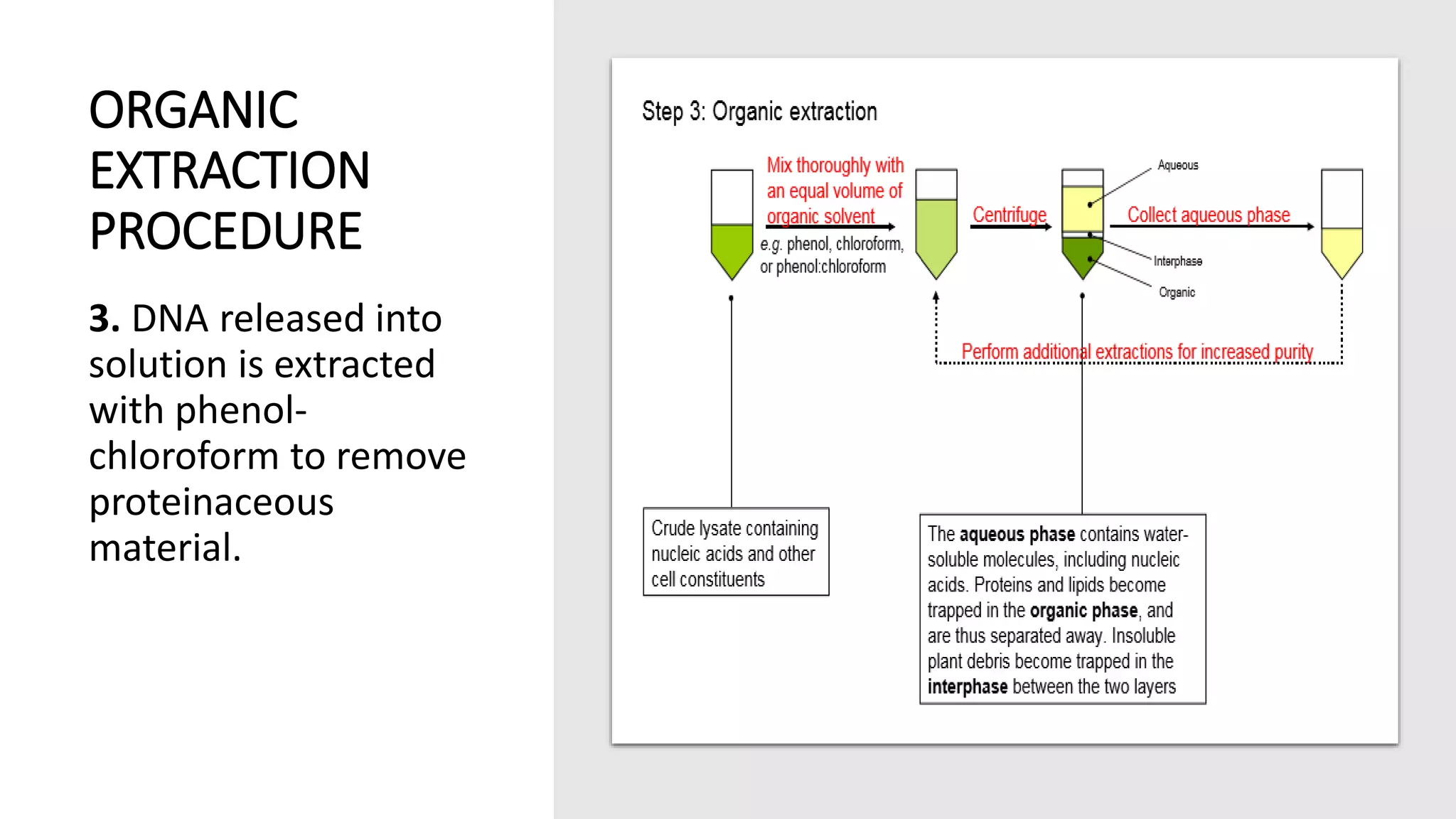 METHODS OF DNA EXTRACTION | PPTX