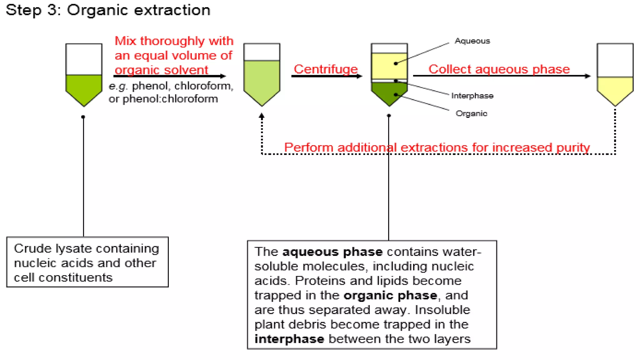 METHODS OF DNA EXTRACTION | PPTX