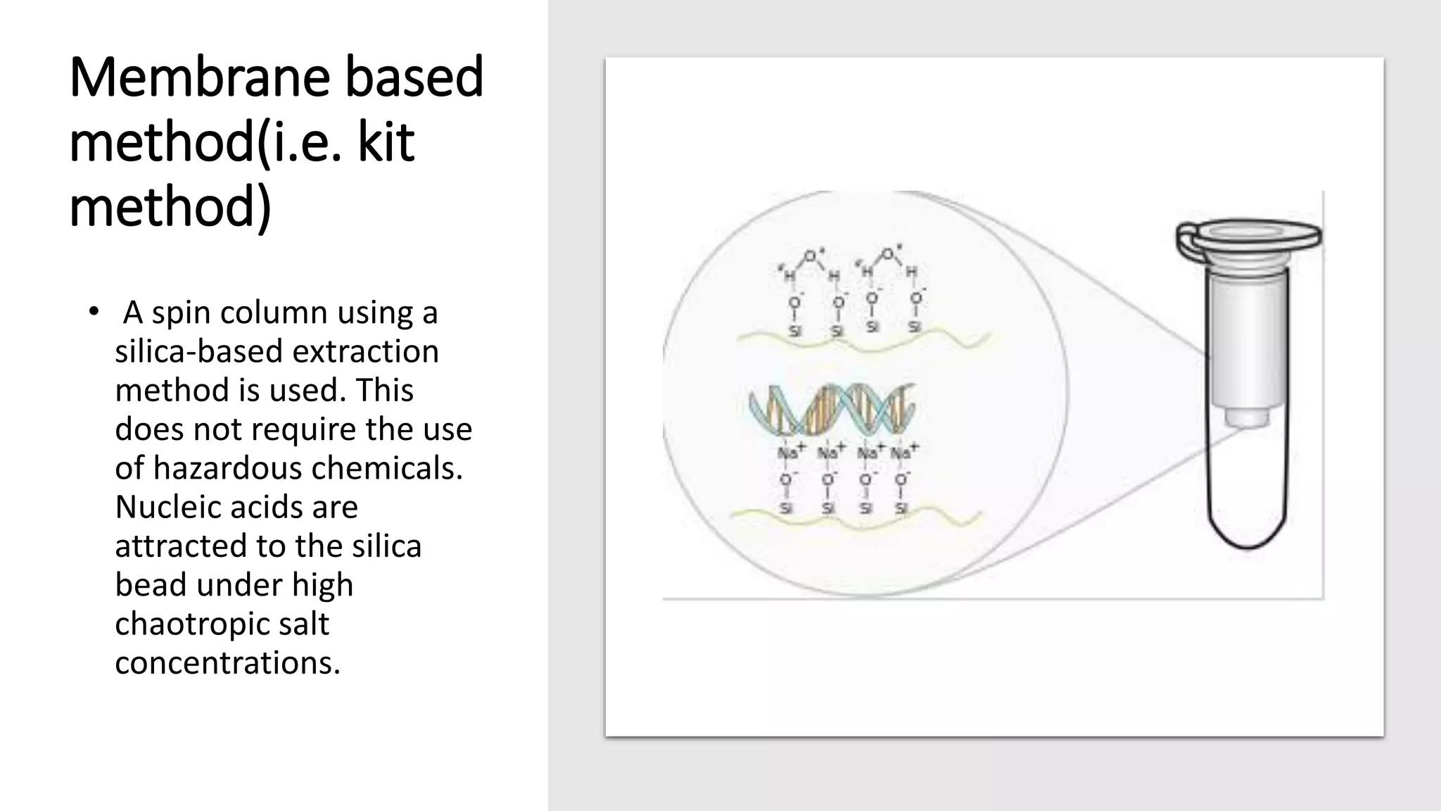 METHODS OF DNA EXTRACTION | PPTX
