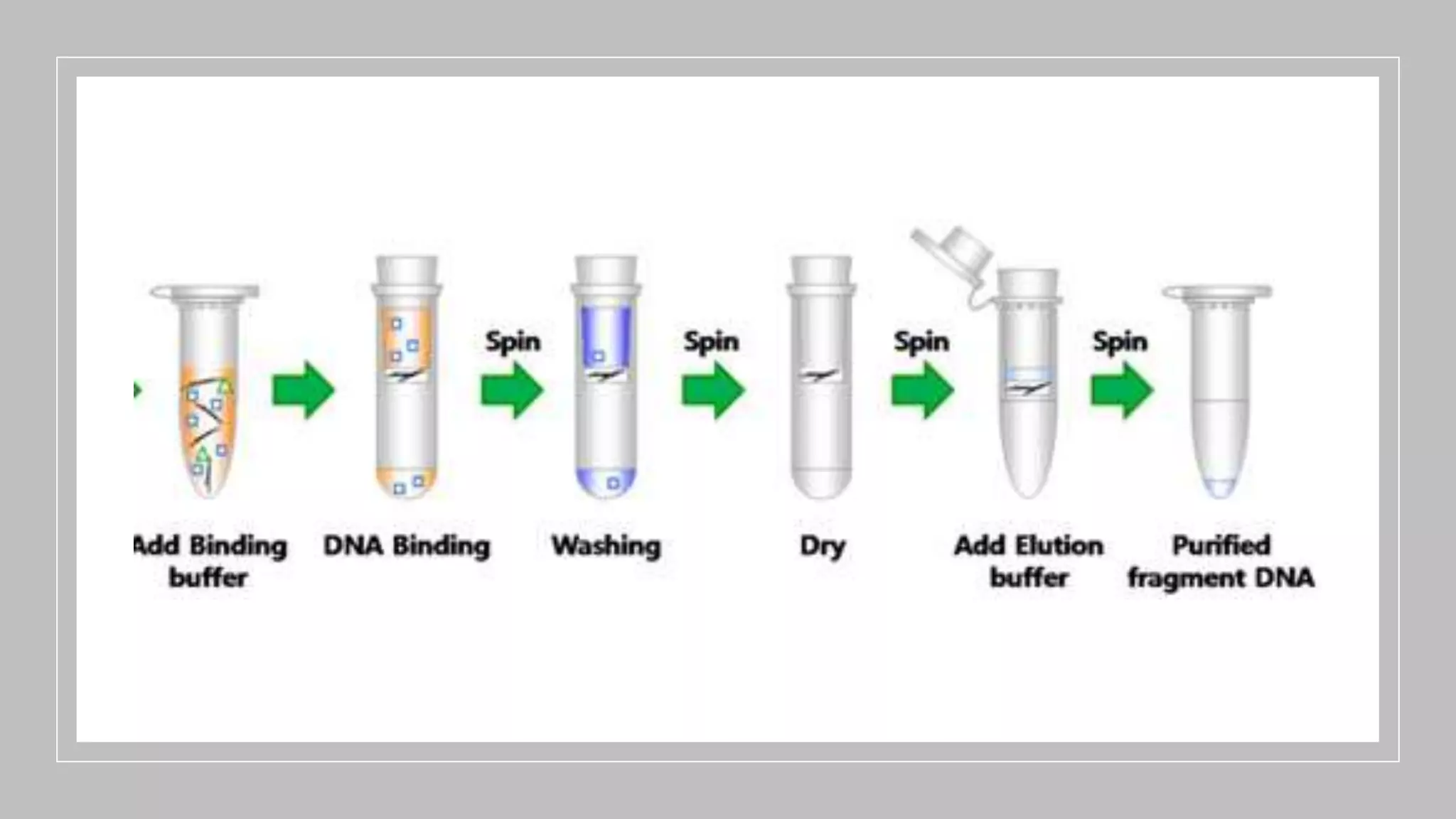 METHODS OF DNA EXTRACTION | PPTX