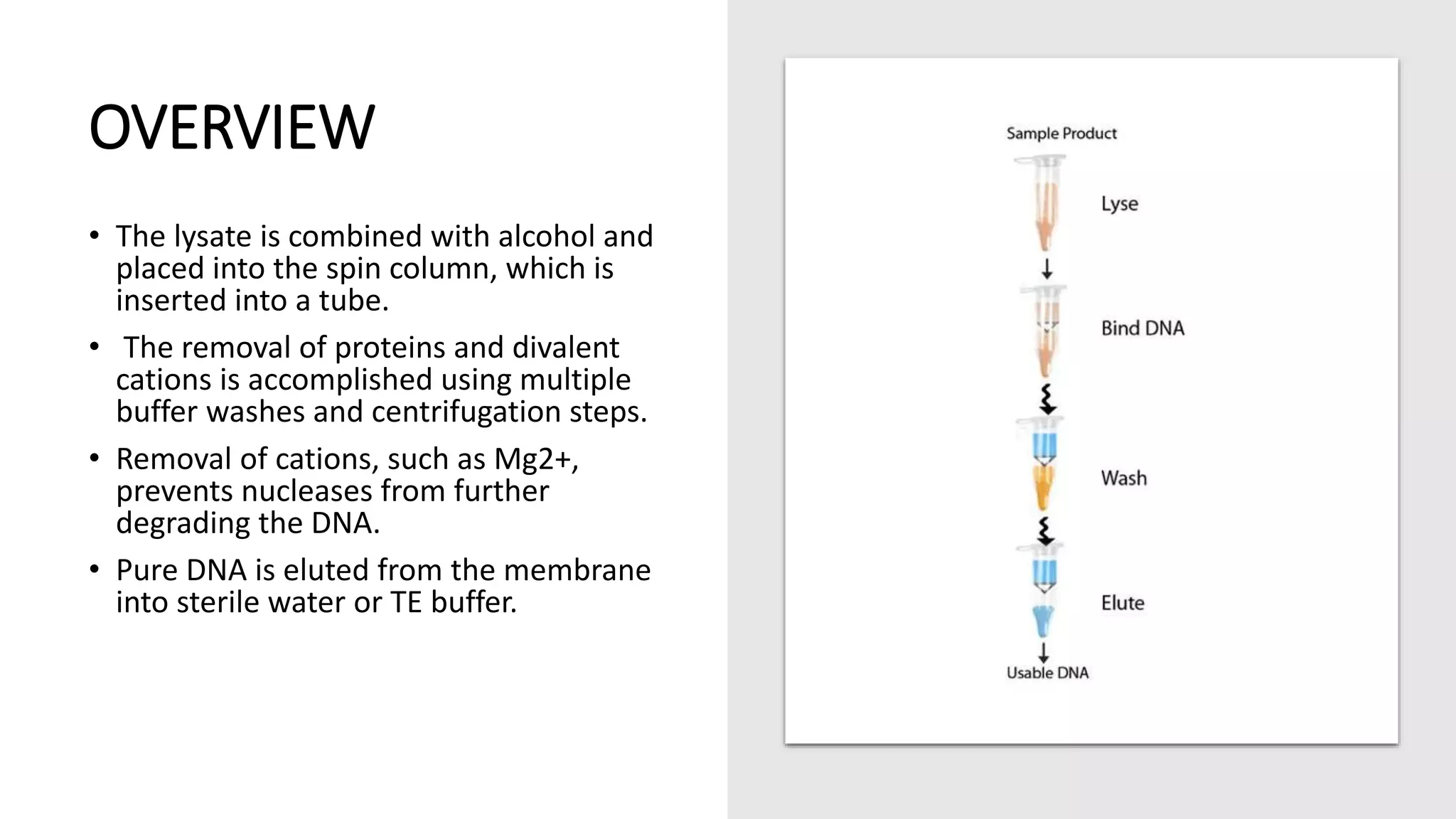 METHODS OF DNA EXTRACTION | PPTX