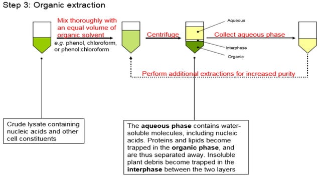 METHODS OF DNA EXTRACTION | PPTX
