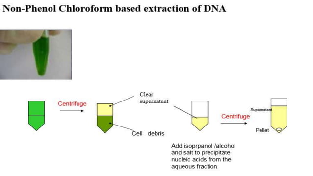 METHODS OF DNA EXTRACTION | PPT