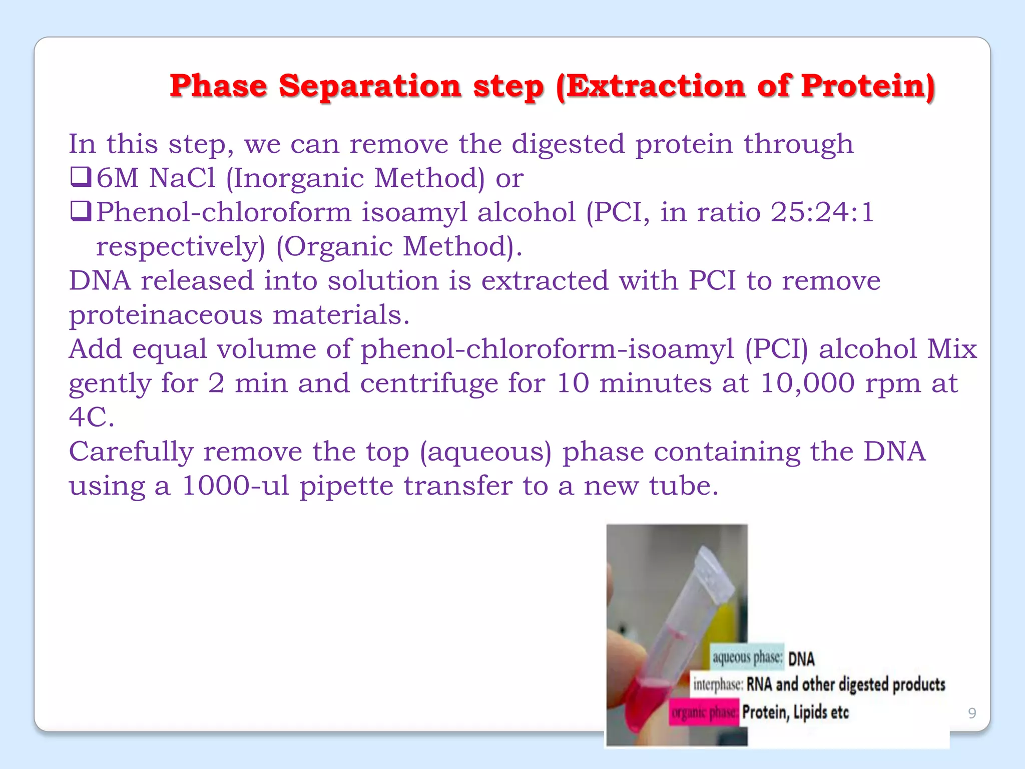 Dna Extraction Methods Pdf