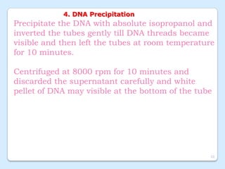 DNA Extraction Methods | PDF
