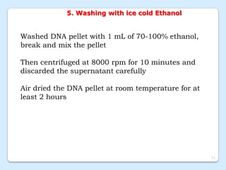 DNA Extraction Methods | PDF