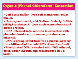 DNA Extraction Methods | PDF