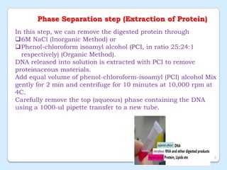 DNA Extraction Methods | PDF