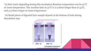 DNA Extraction of Human Hair using ISOHAIR Kit Method_114253.pptx
