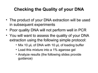 Dna extraction overview | PPT