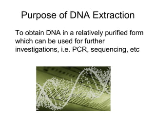 Dna extraction overview | PPT