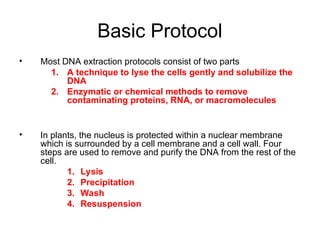DNA_Extraction_Method_Protocolindetail.ppt