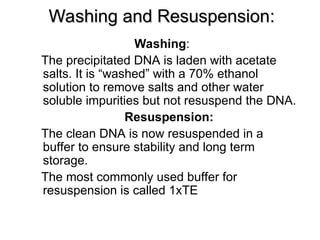 DNA_Extraction_Method_Protocolindetail.ppt
