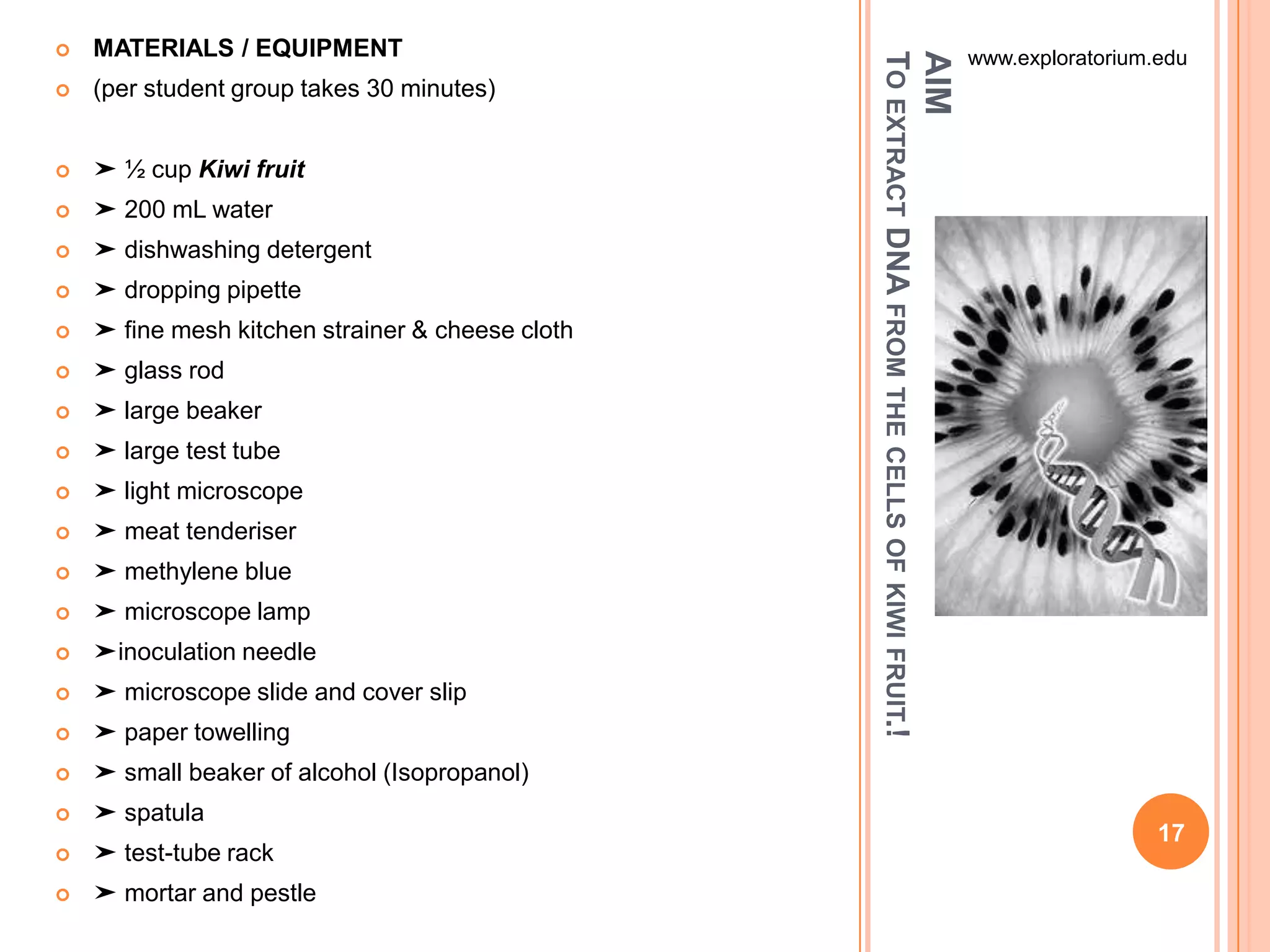DNA extraction presentation | PPTX