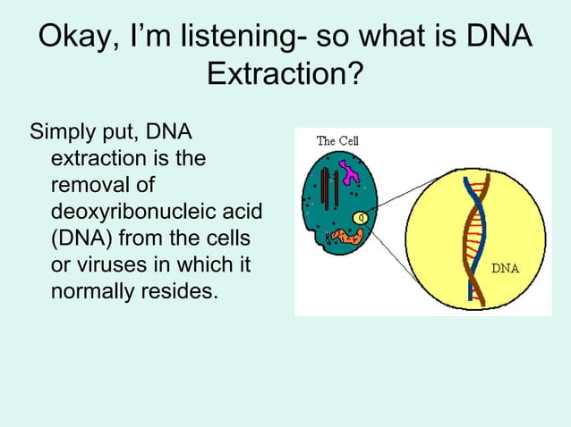 MIchiana BioEYES DNA extraction presentation | PPT | Biological Sciences | Science
