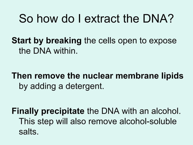 MIchiana BioEYES DNA extraction presentation | PPT | Biological ...