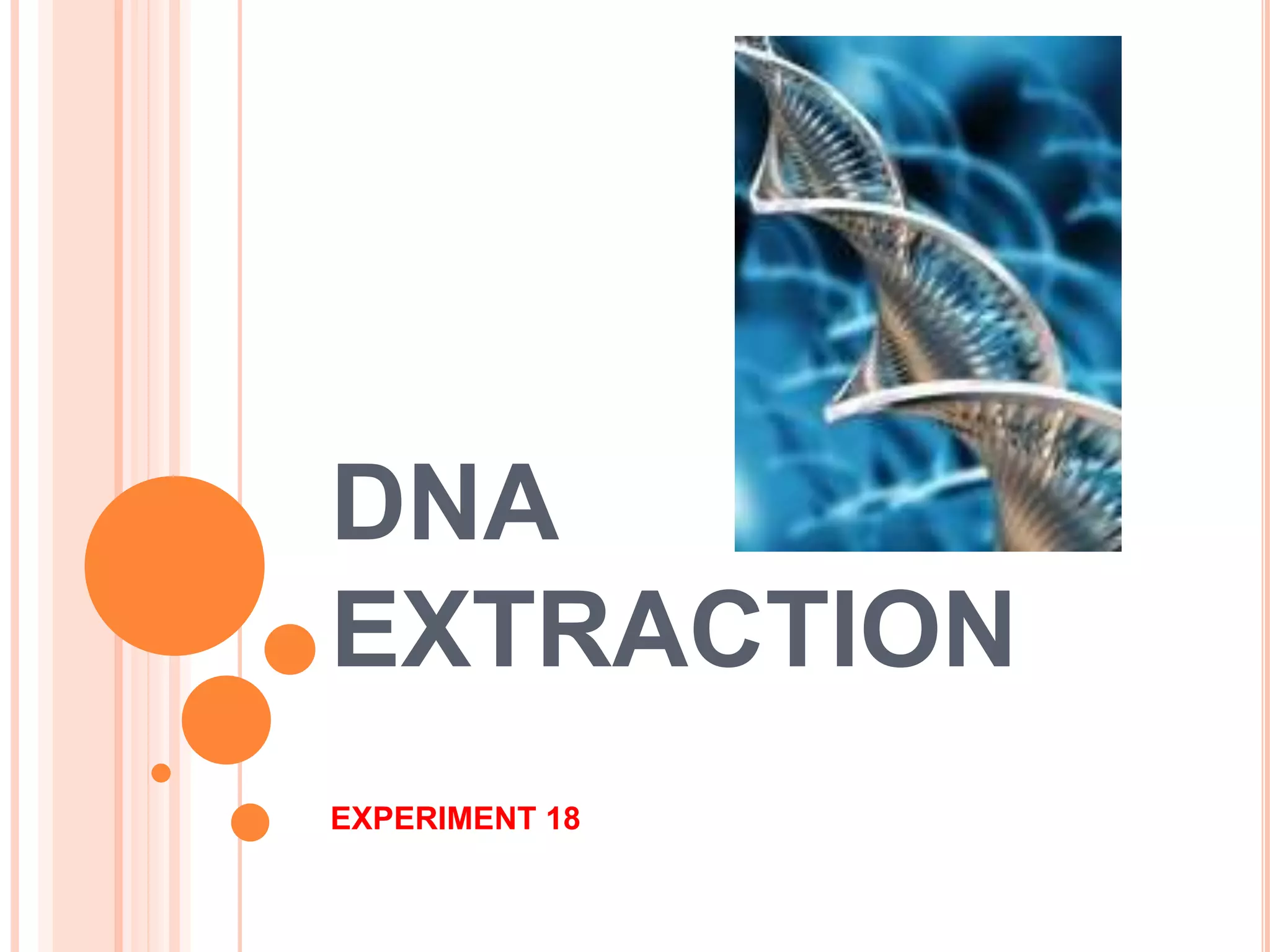 dna extraction presentation | PPTX