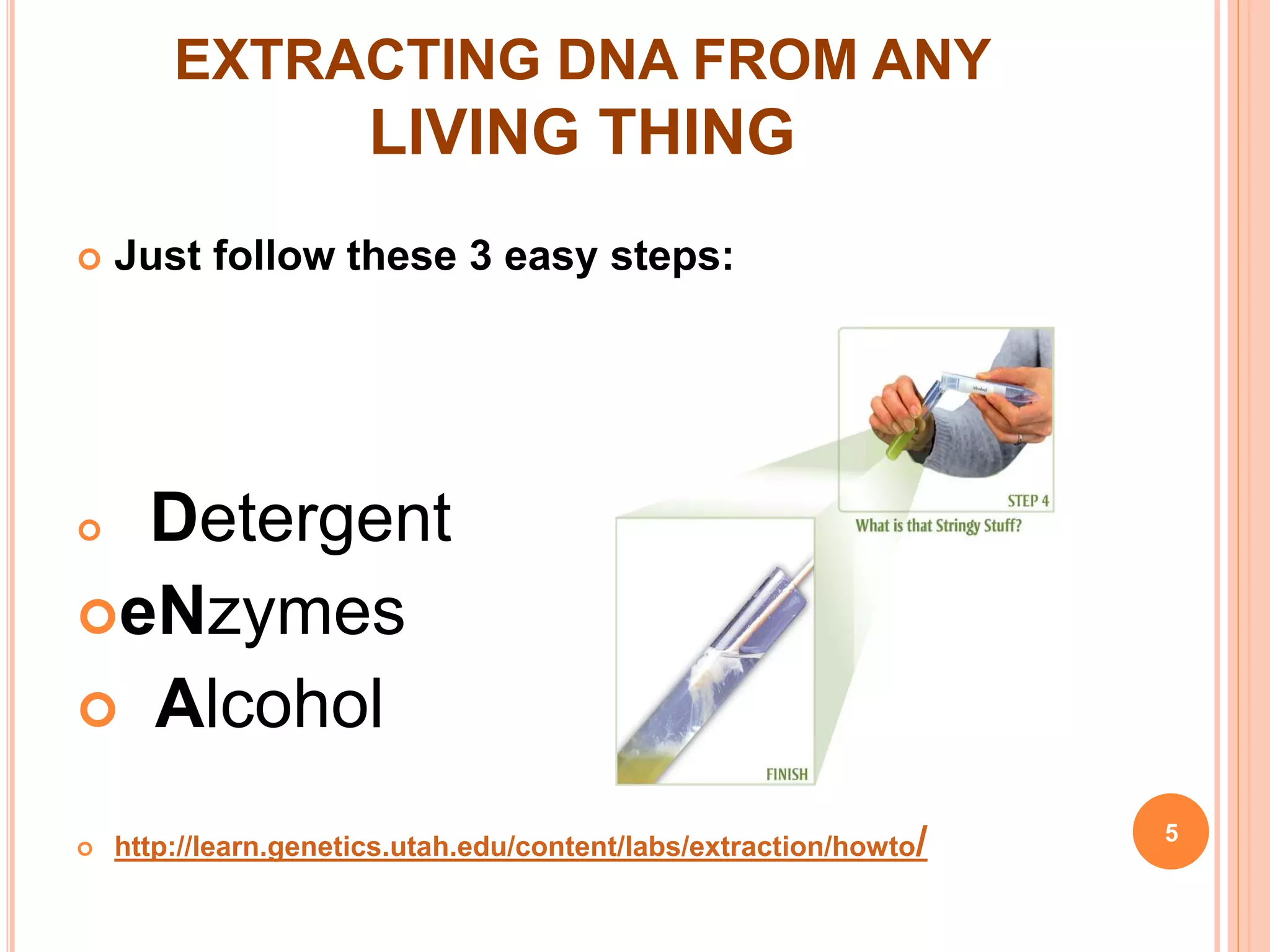 dna extraction presentation | PPTX
