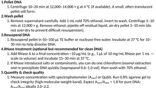 DNA extraction Protocol.pptx by meer hungry | PPTX