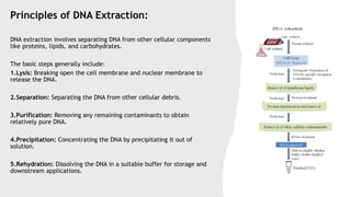 Comprehensive Guide to DNA Extraction Techniques and Applications | PPTX