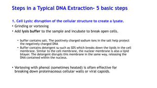 Comprehensive Guide to DNA Extraction Techniques and Applications | PPTX