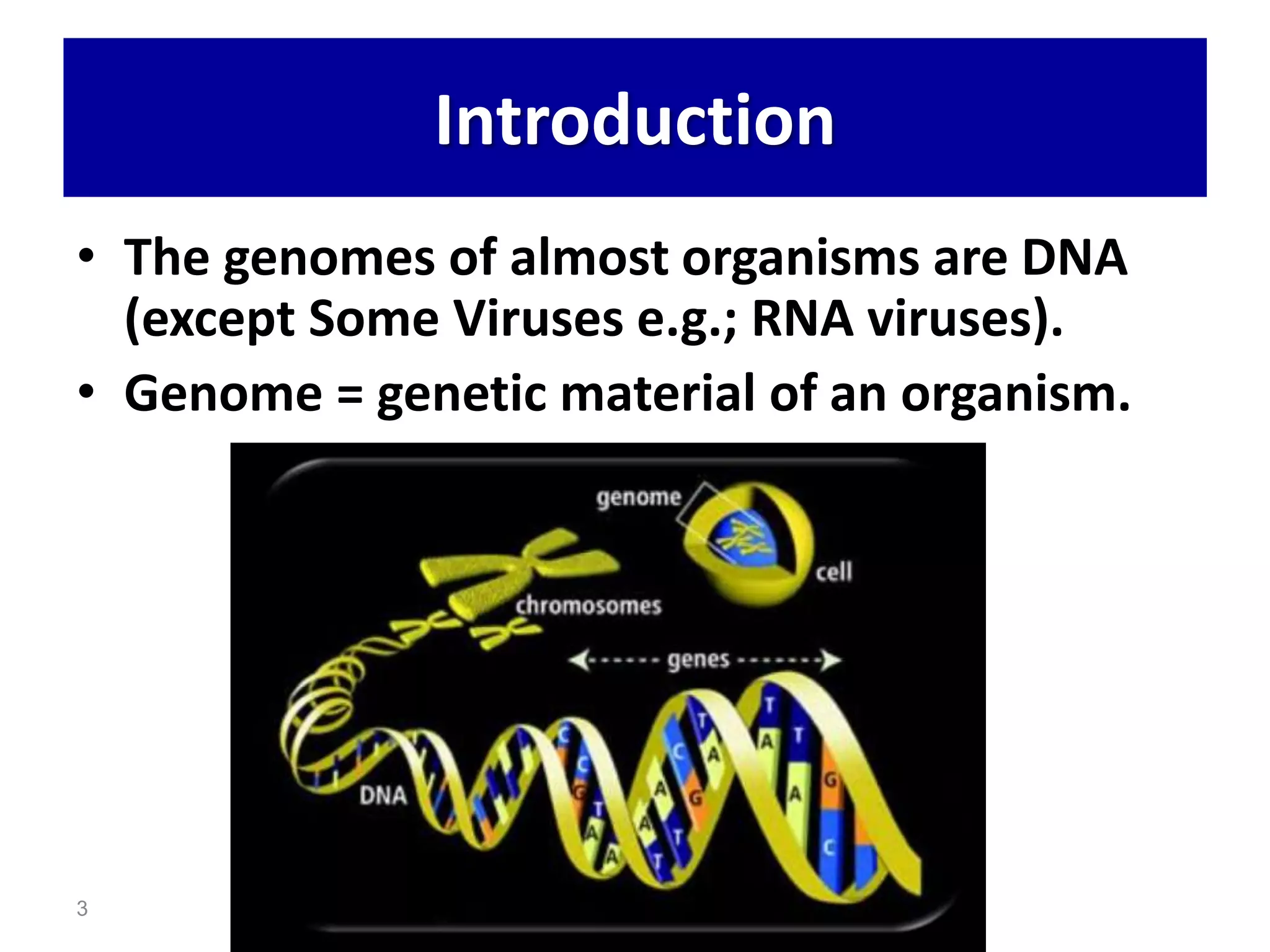 Dna extraction section amany_elshamy | PPT