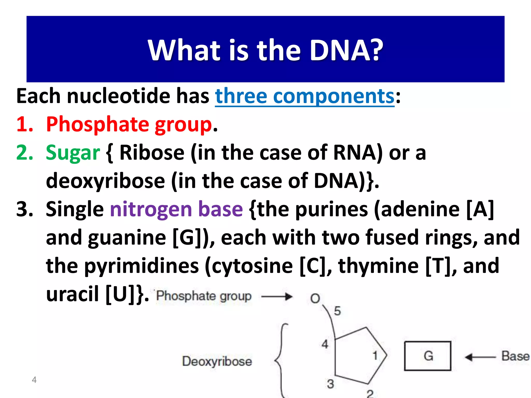 Dna extraction section amany_elshamy | PPT