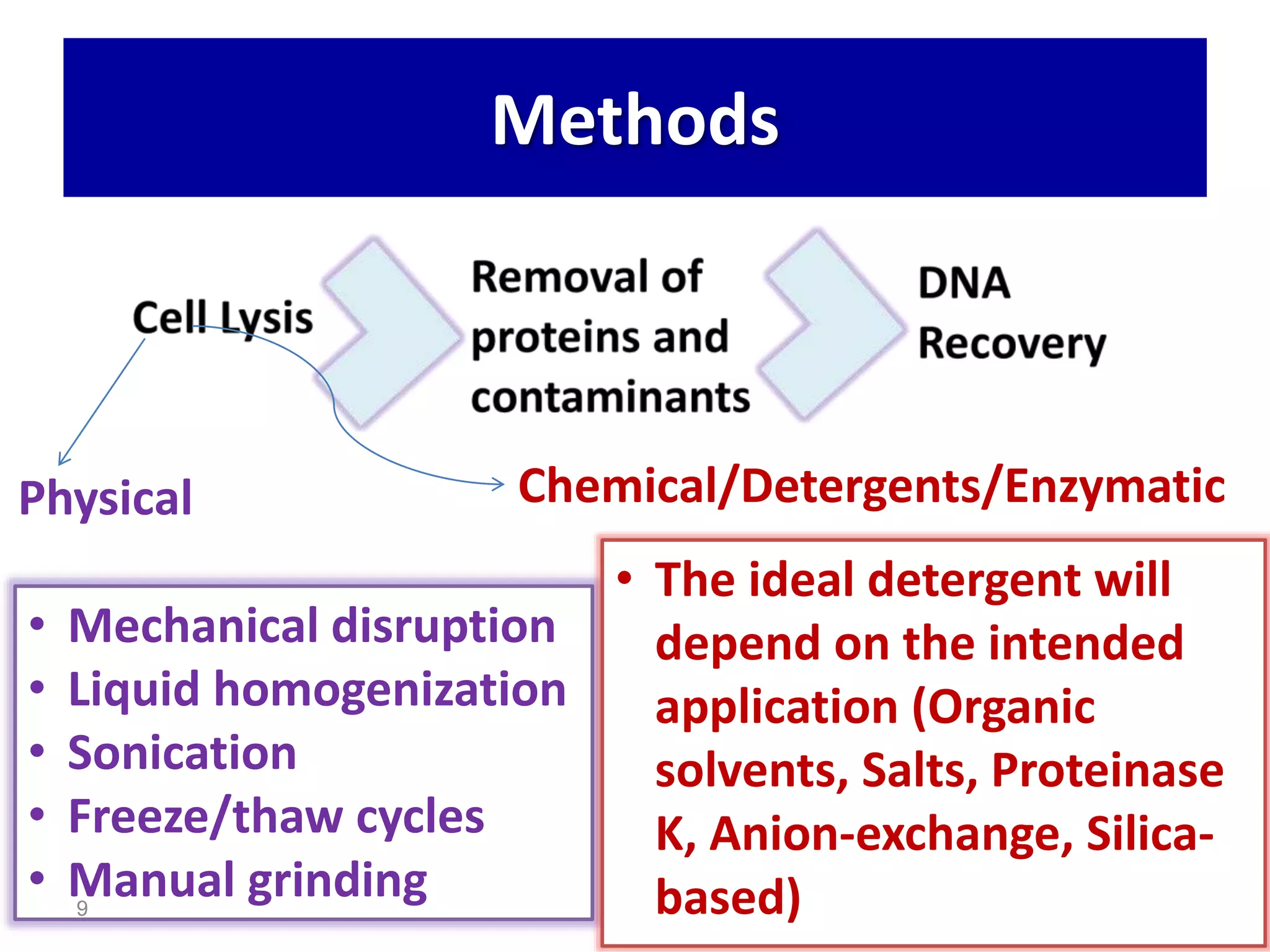 Dna extraction section amany_elshamy | PPT
